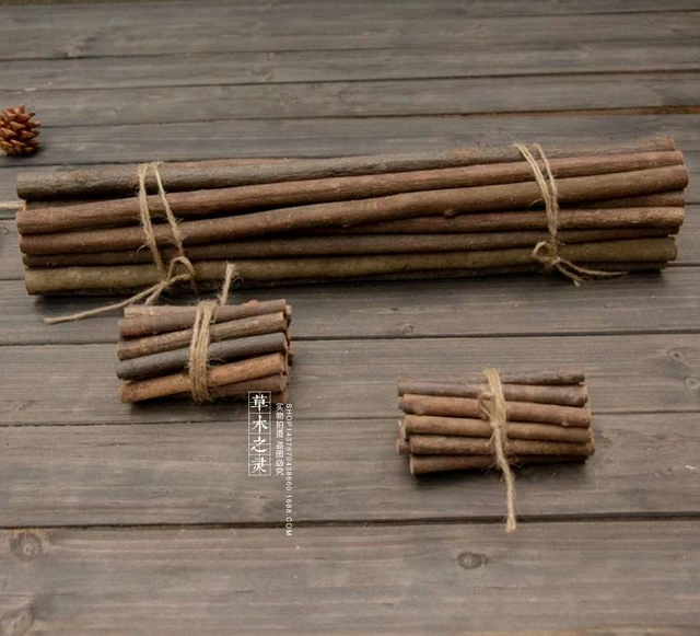 Wooden Tree Stick