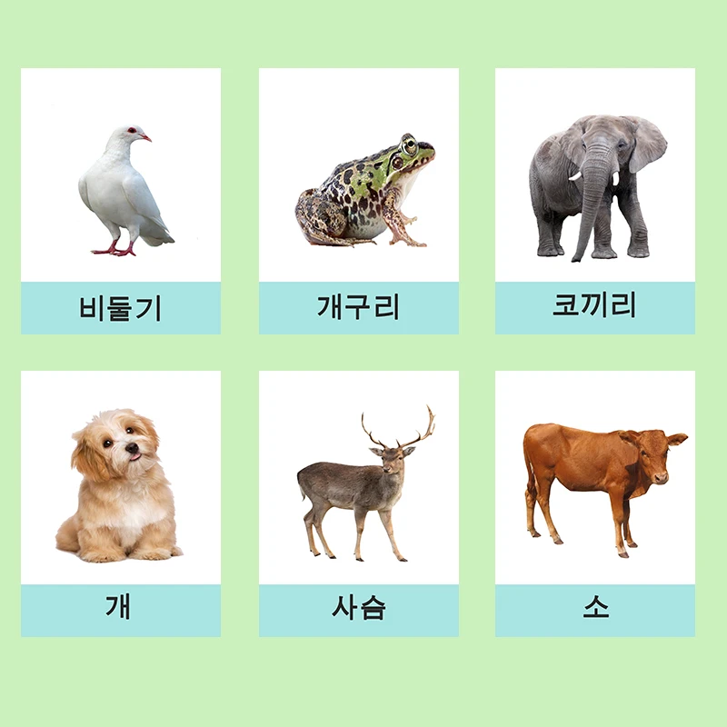 30Pcs-Set-Korean-animal-flashcard-Word-Card-Montessori-Learning ...