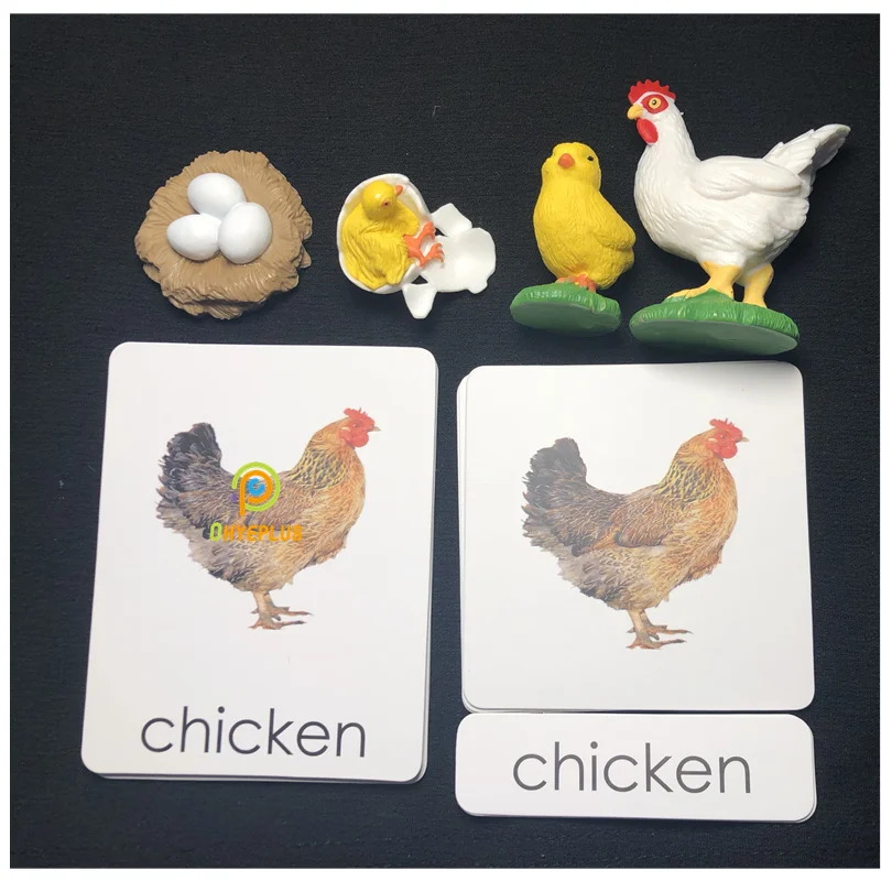Montessori-Educational-Toy-Life-Cycle-of-Chick-Figures-Cards-Tray-Board ...