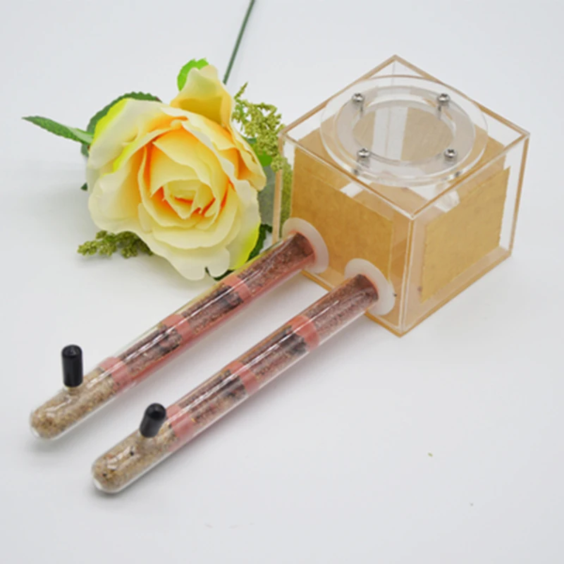 Beautiful-Test-Tube-Ant-Nest-Acrylic-Ant-Farmhouse-Bamboo-Tube-Small ...