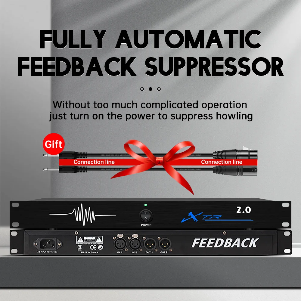 Professional-Feedback-Suppressor-2-in-2-Out-Performance-Stage ...