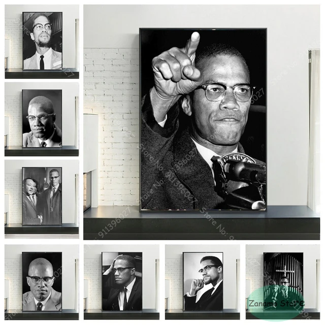 Malcolm X Gun Poster