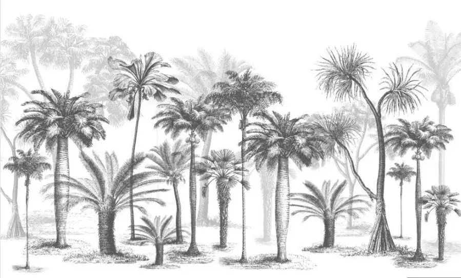 Tropical Rainforest Tree Drawing