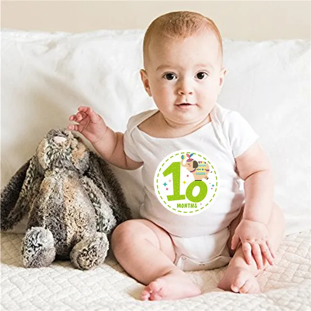 12Pcs/Set Baby Month Sticker Studio Home Newborn Milestone Memories ...