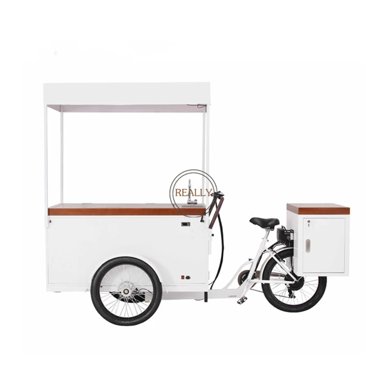 Classical-Freezer-Bike-Electric-Ice-Cream-Tricycle-With-Battery-Freezer ...