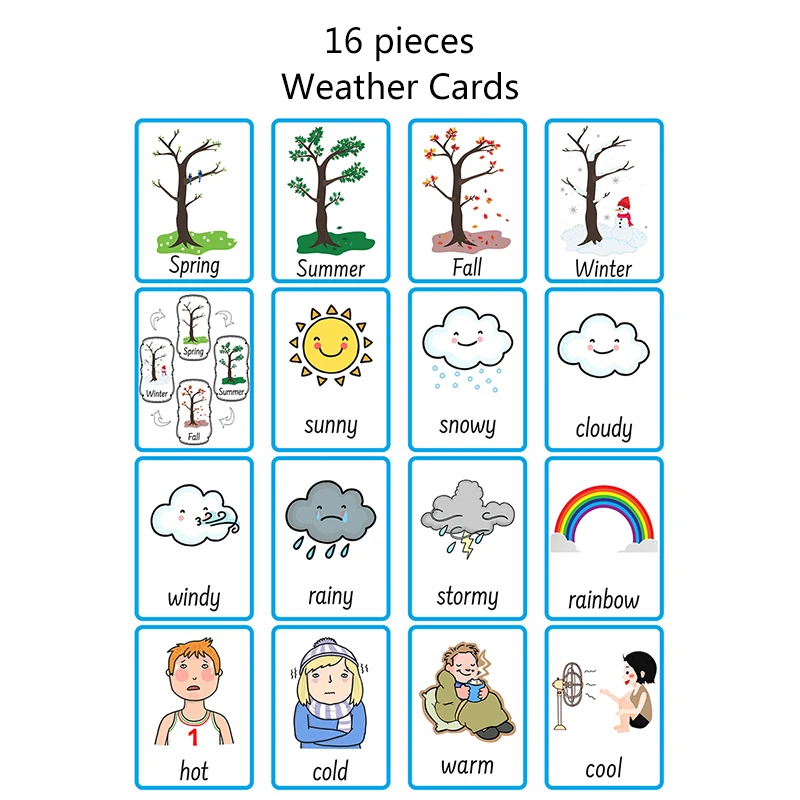Seasons Flashcards