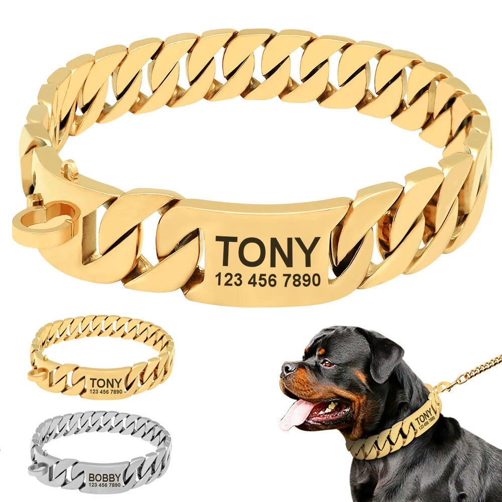 Collier de chien personnalisé en acier inoxydable, chaîne pour animaux ...