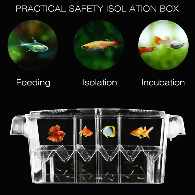 Guppy Breeding Box Fish Tank Isolation Box Small Fish, 47% OFF
