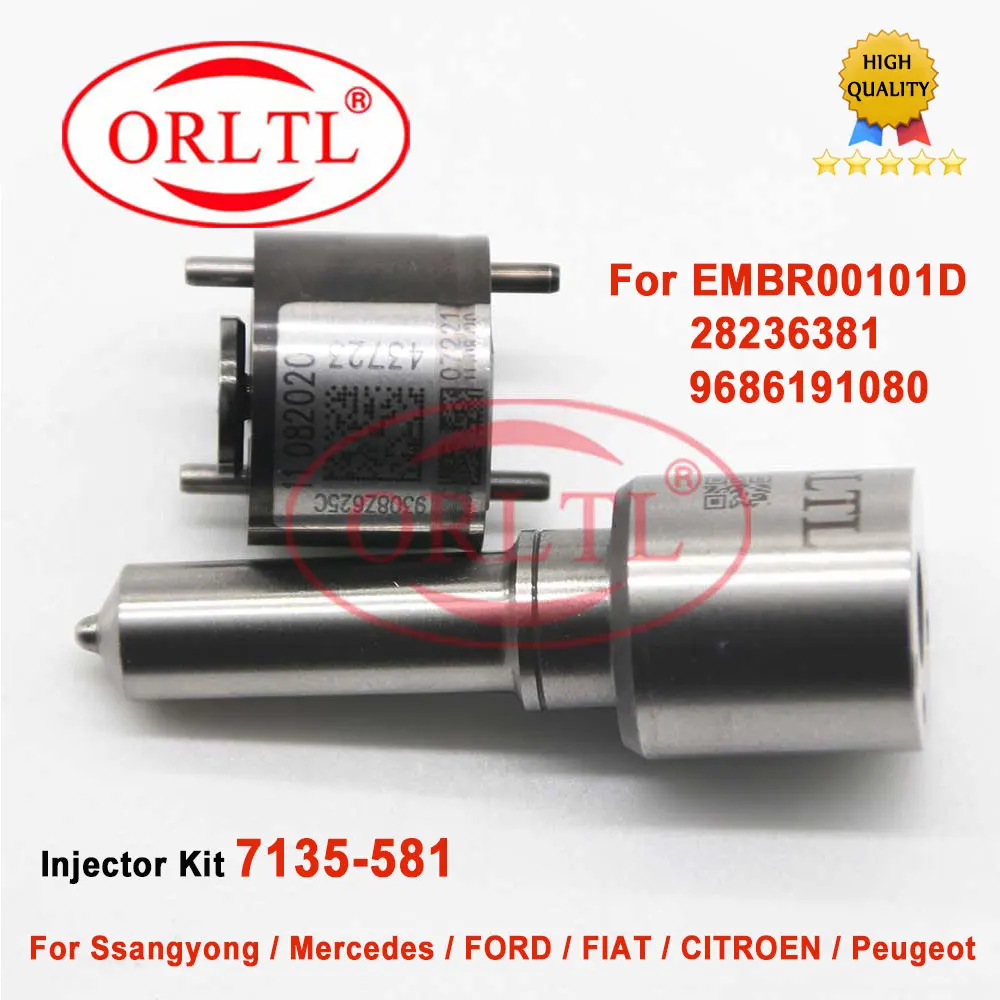 ORLTL-Fuel-Injection-Repair-Kit-7135-581-valve-9308-625C-and-Nozzle ...