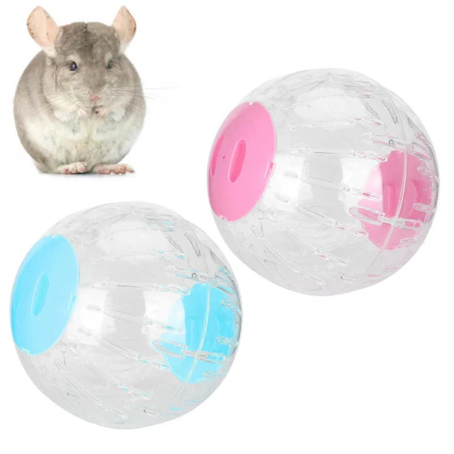 Chinchilla Ball