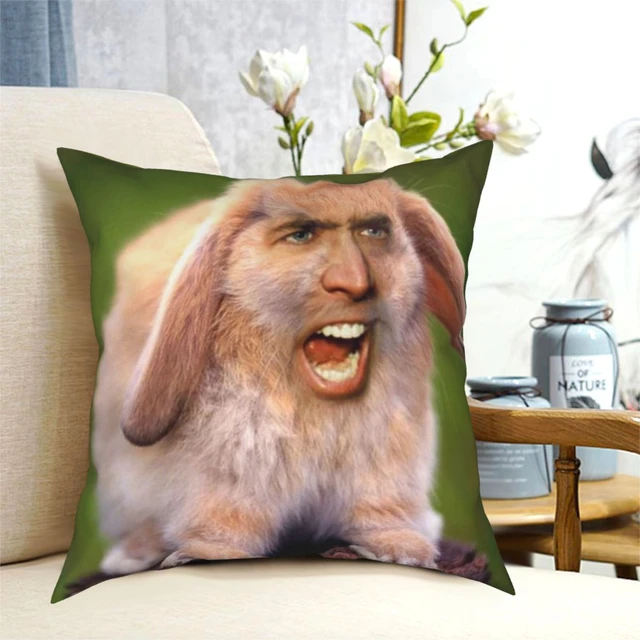 Nicolas Cage Rabbit