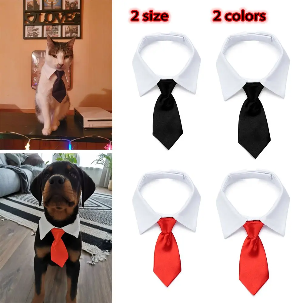 Corbata Formal para perro y gato, corbata de esmoquin, Collar negro y ...