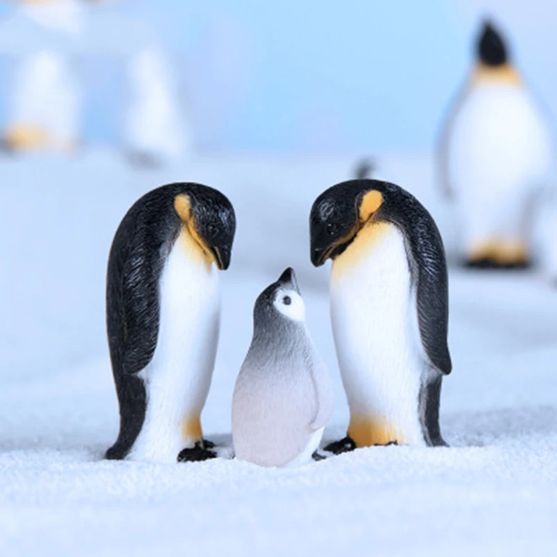 Cutest Penguin In The World