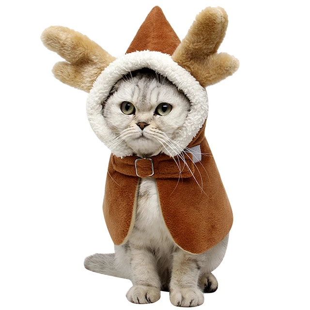 Star Wars Cat Costumes