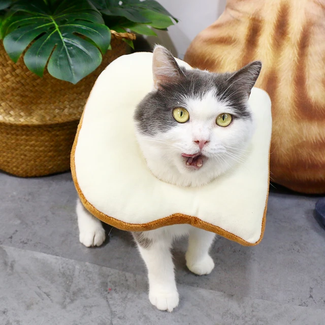 Cat Breading Costume