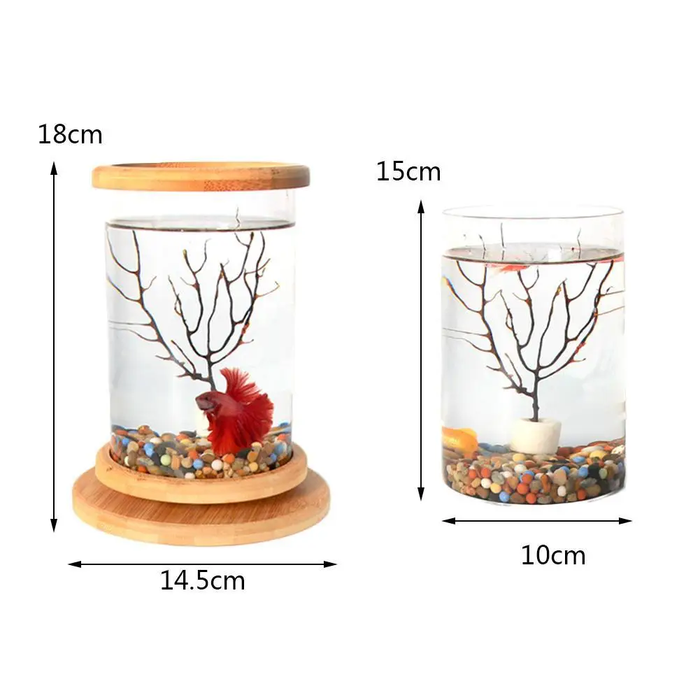 Glass Fish Bowl Decorations