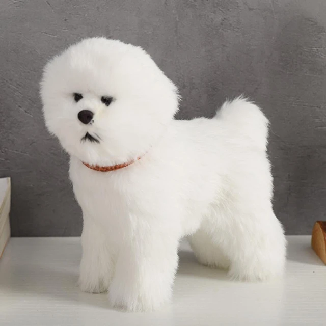 Bichon Frise Panda Cut