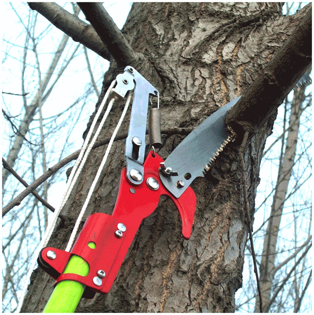 Tree Pruner