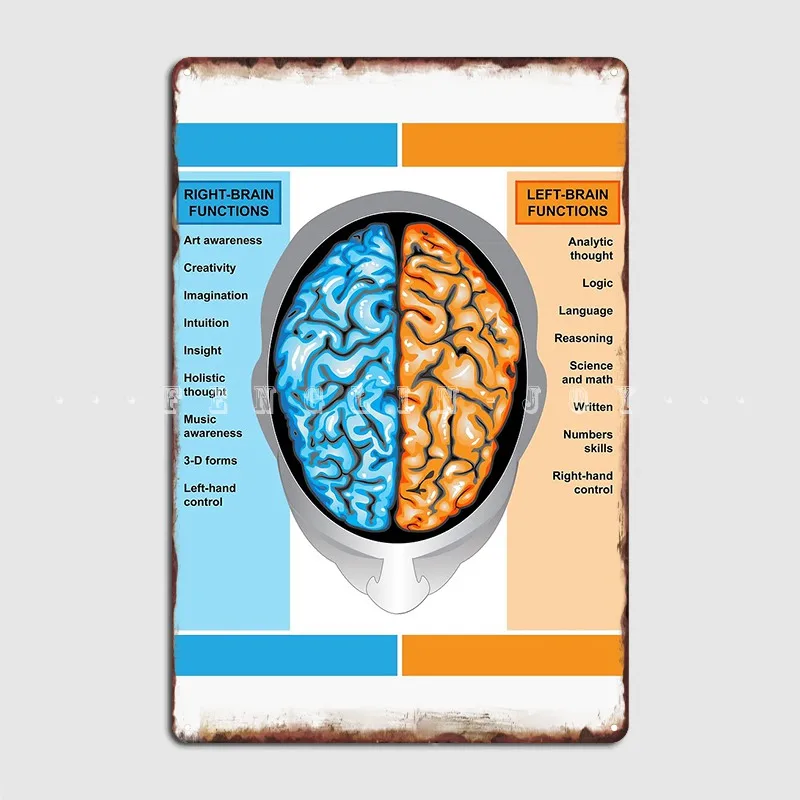 Human-Brain-Left-And-Right-Functions-Metal-Sign-Club-Home-Cave-Pub ...