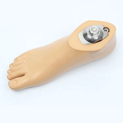 Prosthetic Feet Energy Storage Adjustable Heel Hardness Accessories ...