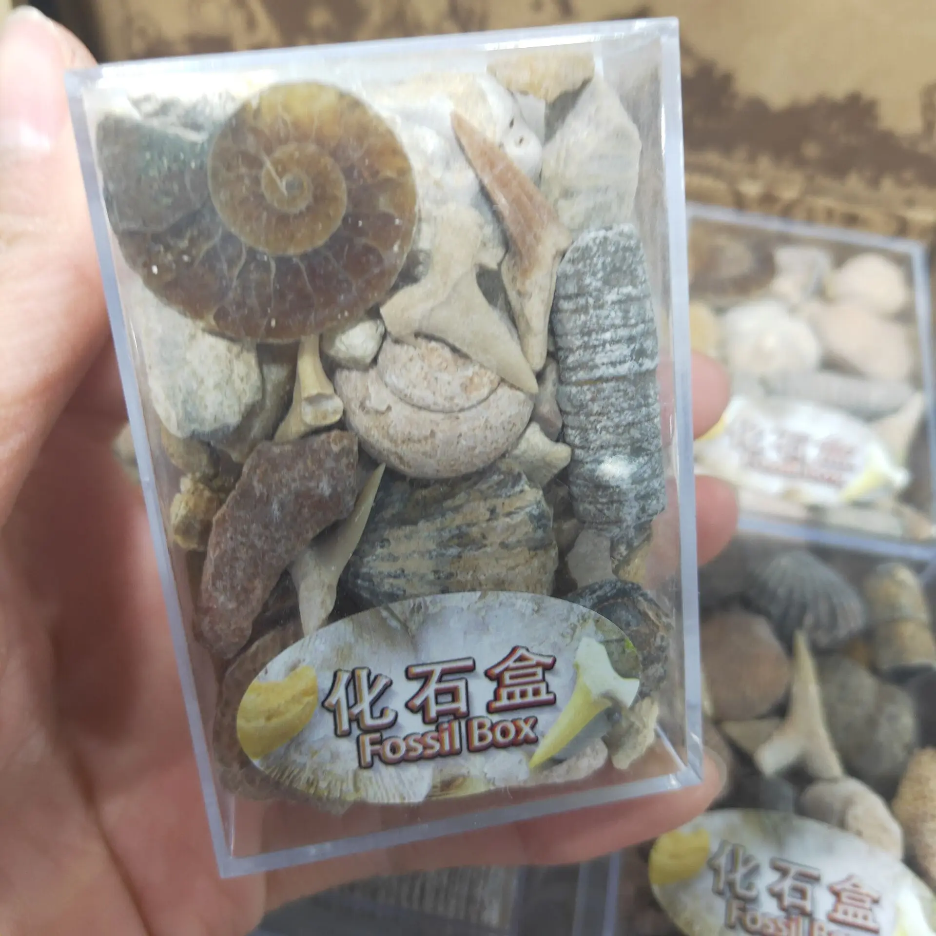 1-Box-Mixed-Ore-Specimens-Science-Mineral-Rock-Museum-Teaching-Gravel ...