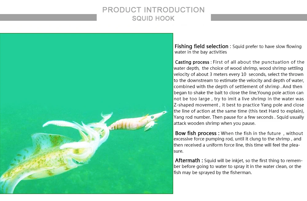 16g Luminous Squid Jigs which will trick the squid into coming home ...