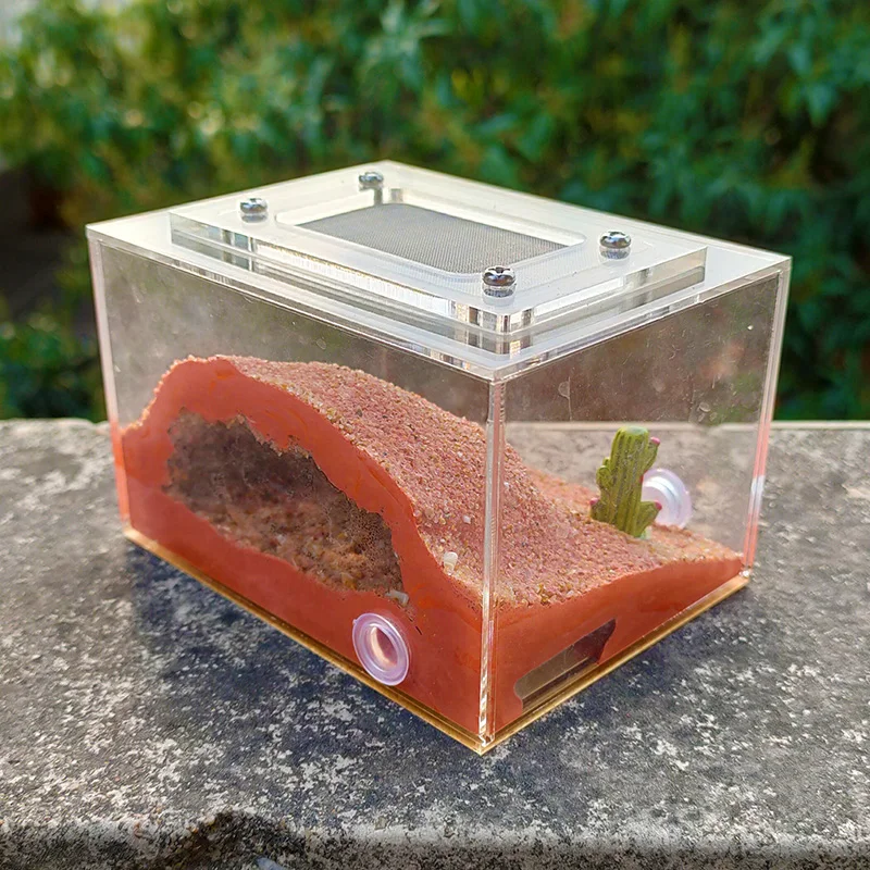 Formicarium