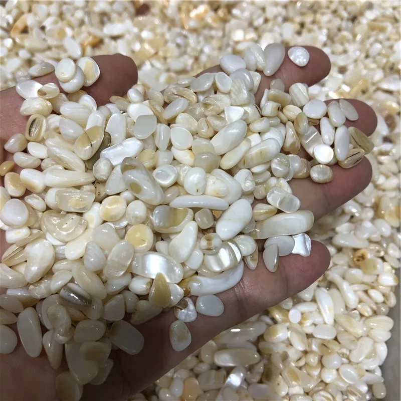 100g Natural Shell Tumbled Stones Quartz Crystal Mineral Gemstones ...