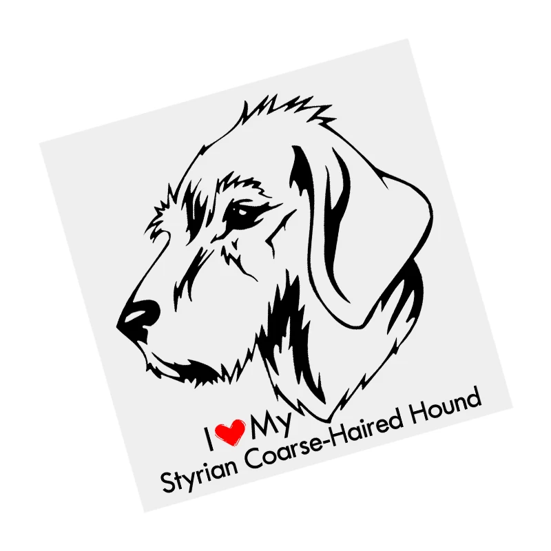 How Long Do Styrian Coarse Haired Hound Live