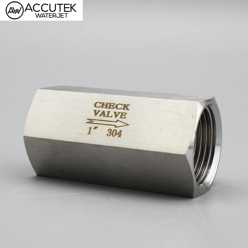 Válvula de retención de alta presión de acero inoxidable 304/316 ...