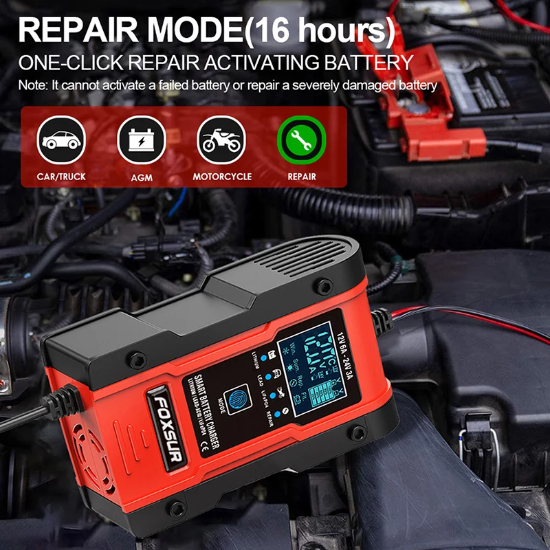 Foxsur 12v And 24v Pulse Repair Charger, Lifepo4 Battery Charger,6a ...