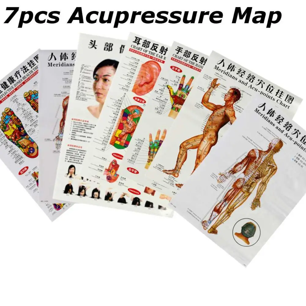 What Is the Best Body Meridians Chart for Accurate Acupressure and ...