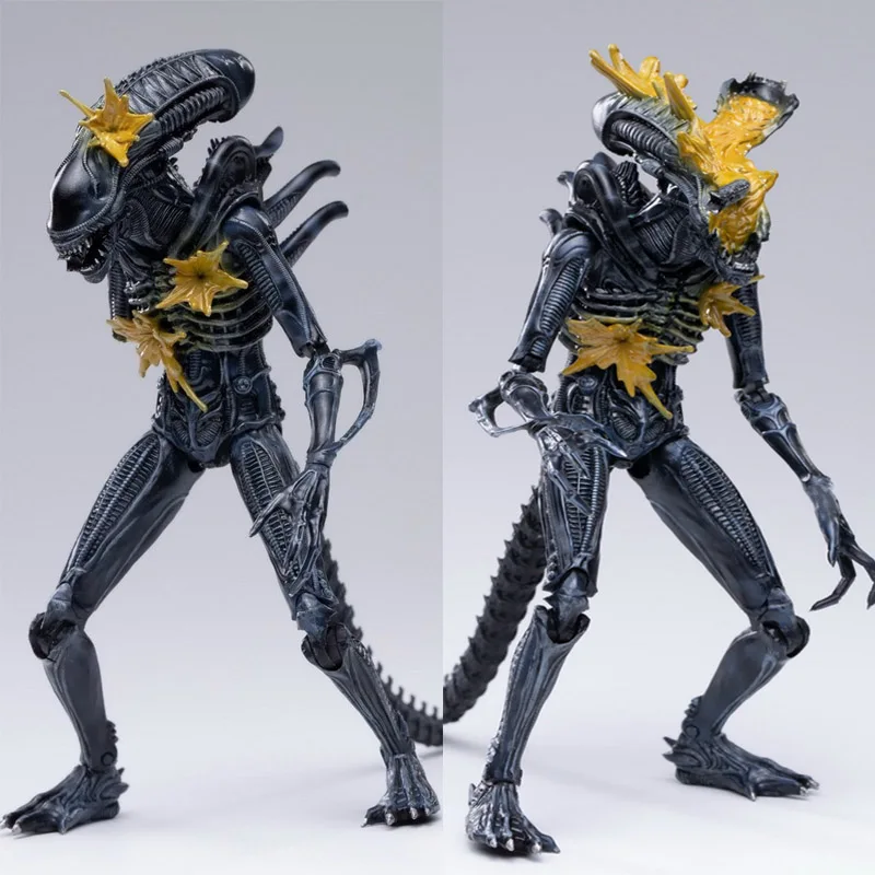 Xenomorph Warrior