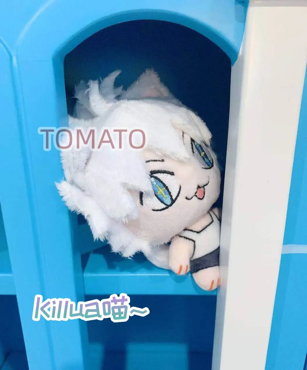 Killua Zoldyck Cat