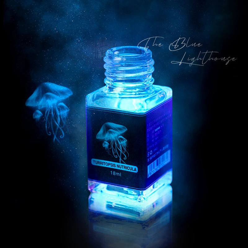 18ml-Turritopsis-Invisible-Ink-Bottle-for-Fountain-Pen-Lighthouse-Blue ...