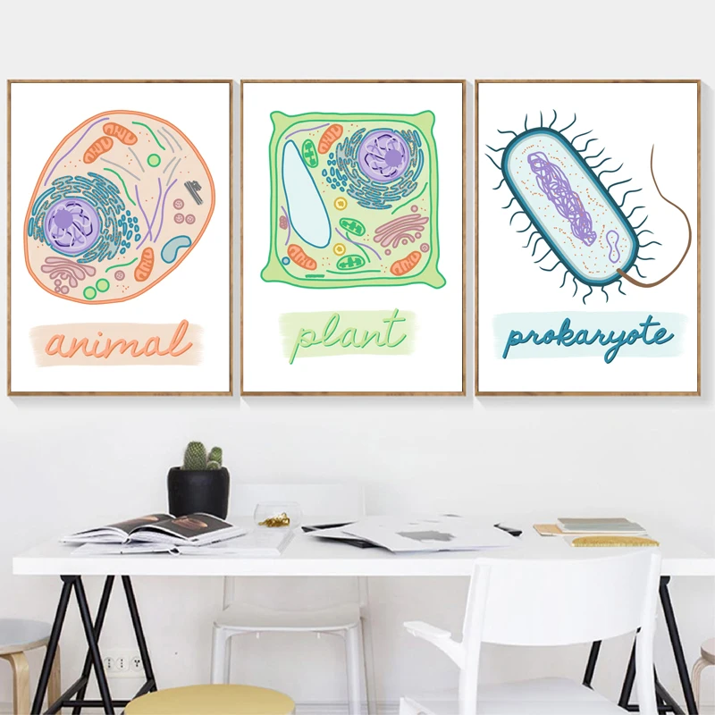 Biology Classroom Posters