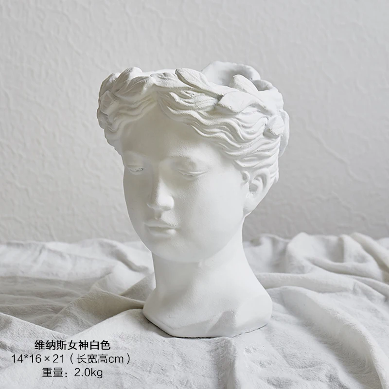 Venus Goddess Statue Face