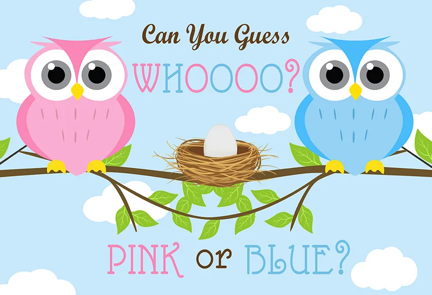 Pink And Blue Owl Clip Art