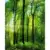 Gatyztory Frame Green Tree Lake Diy Painting By Numbers Landscape ...