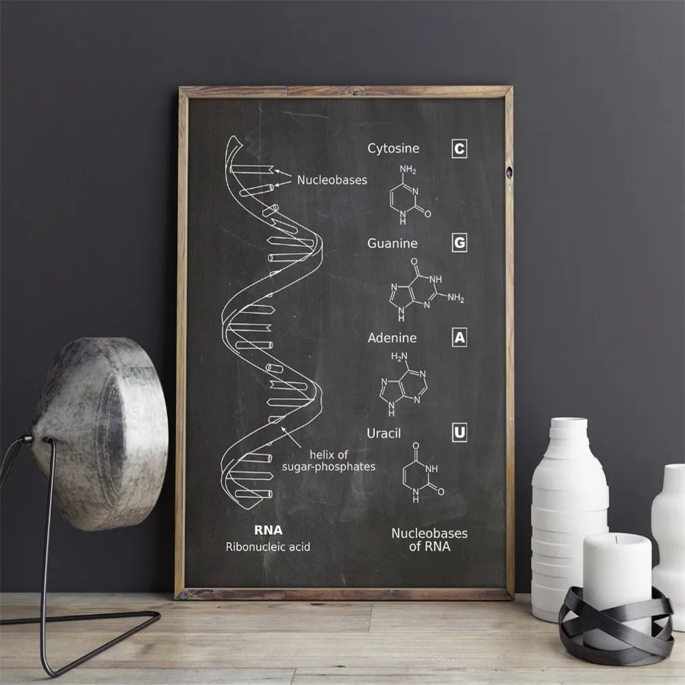Dna Black And White Horizontal