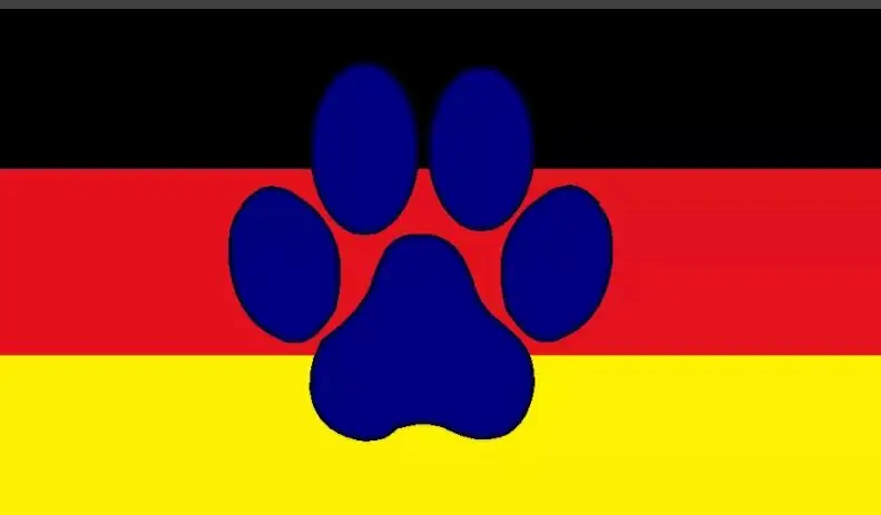 Is this a furry flag? : r/vexillology