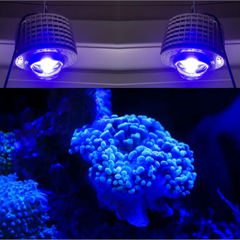 LED-Aquarium-Lighting-Full-Spectrum-100W-CREE-Bulb-Marine-Coral-SPS-LPS ...