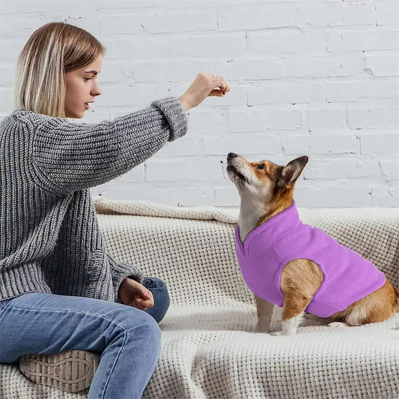 Manteau polaire avec harnais pour chien vêtement d39hiver lavable pour ...