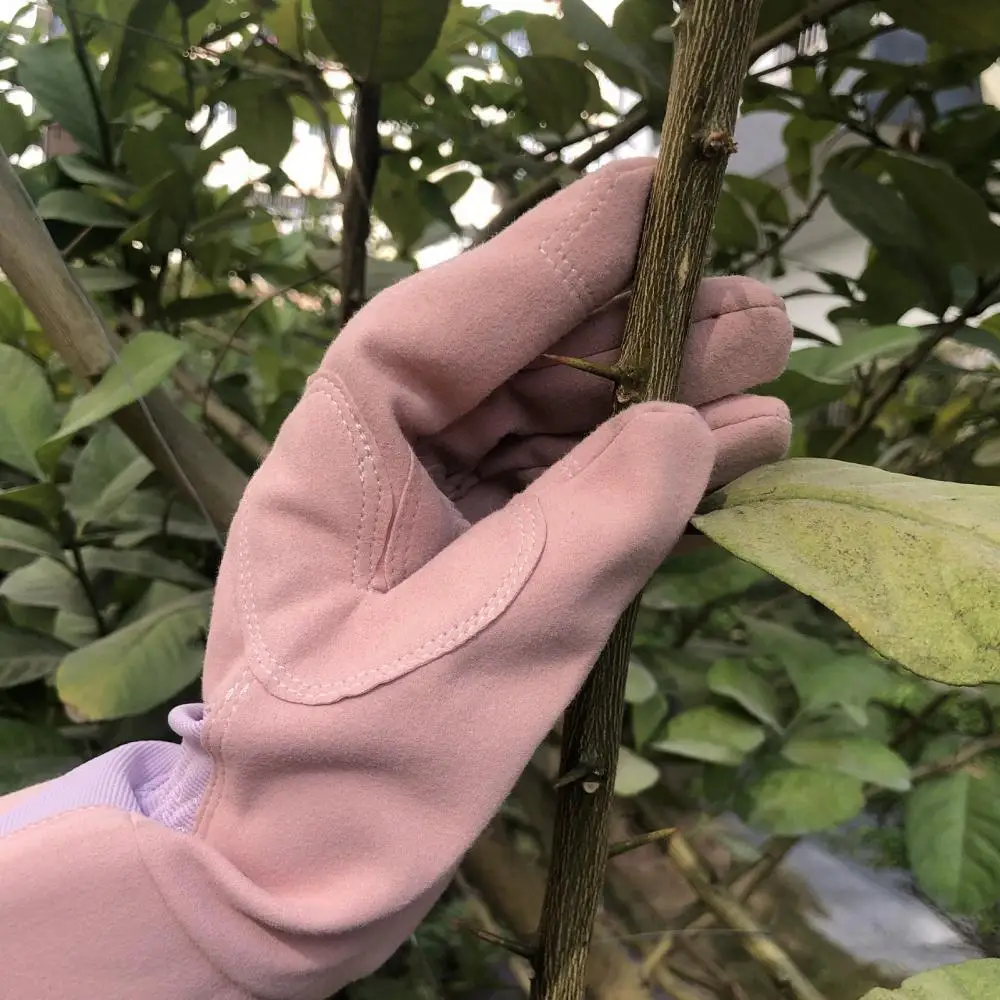 Long-Sleeves-Rose-Pruning-Gardening-Gloves-Professional-Gardening-Thorn ...