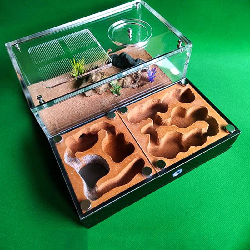 Acrylic-Ant-Farm-Large-Flat-Plaster-Ant-Nest-Big-Gypsum-Pet-Anthill ...