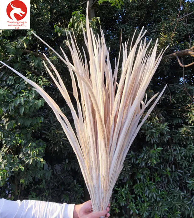 Pluma de faisán bellied, nuevo, 10 20 50 unidades, hermoso, blanco ...
