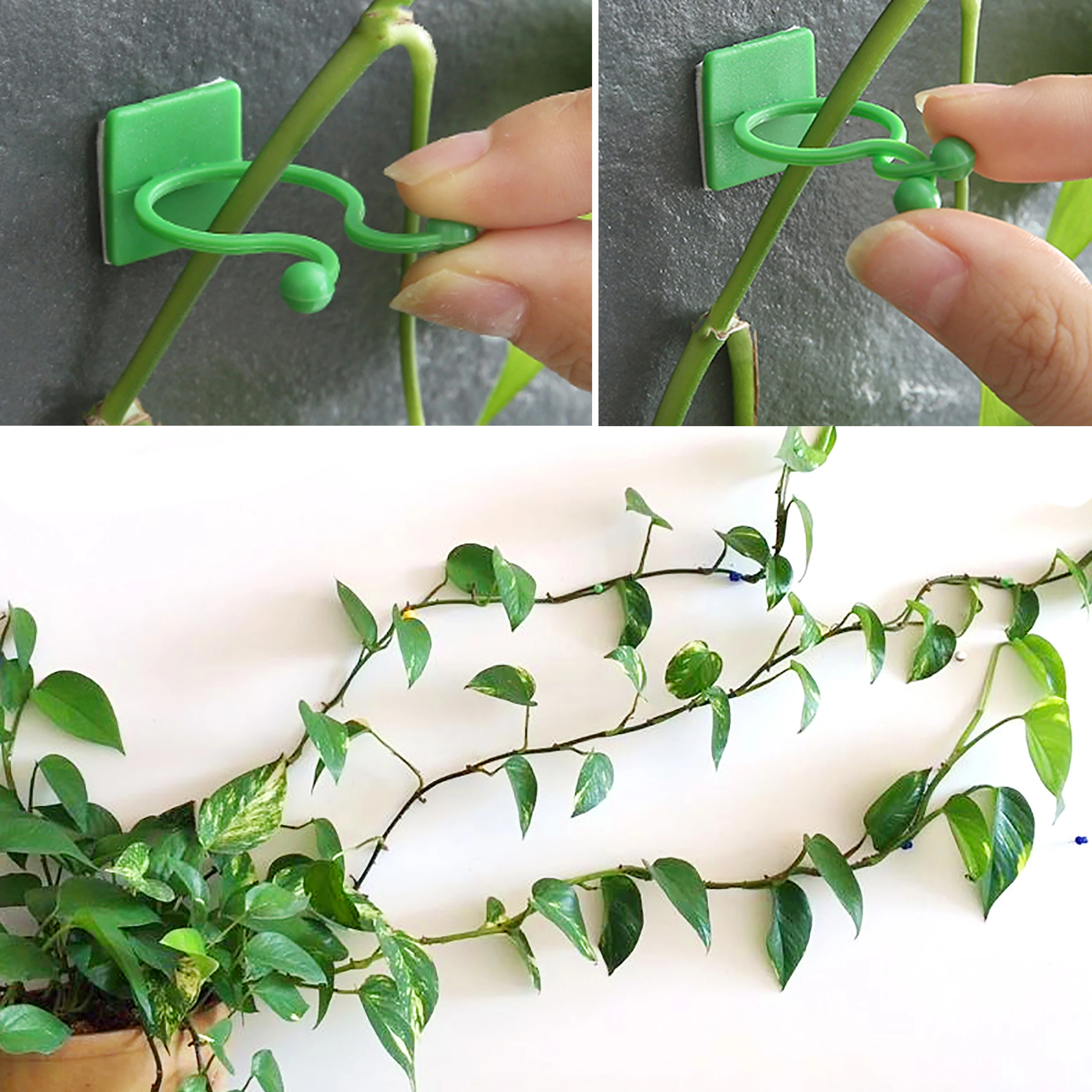 50Pcs Plant Vine Climbing Wall Self Adhesive Fixed Buckle Hook ...