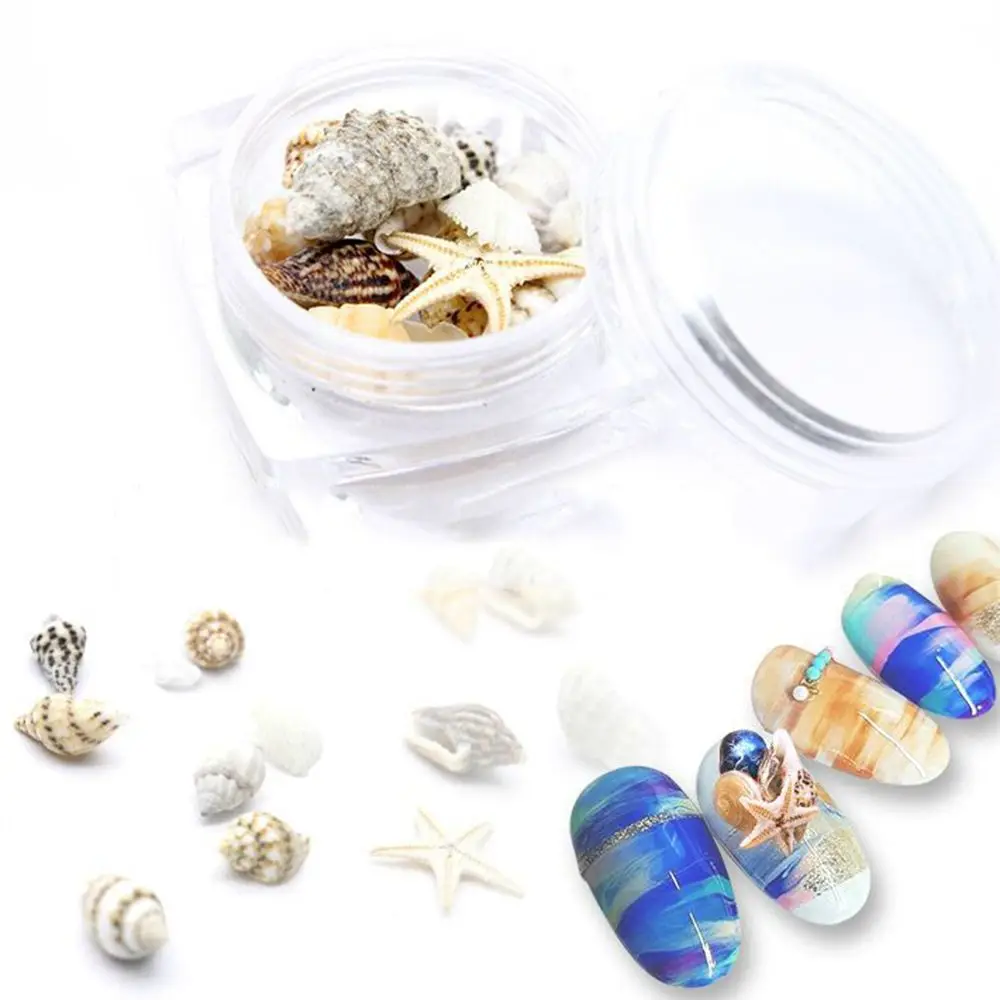 1/2/5 Box 3D Natural Starfish Shell Conch Nail Decoration Sea Beach ...