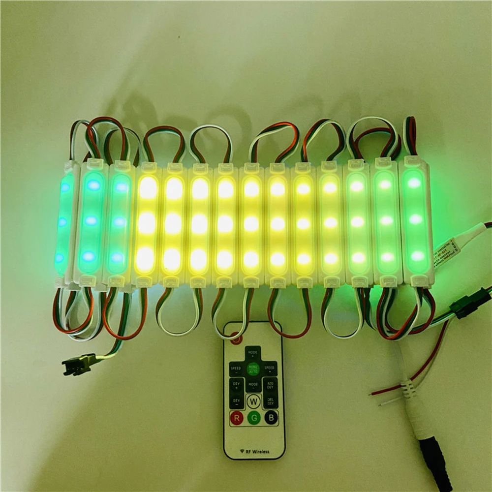 LED-full-color-injection-module-12V-Waterproof-IP68-Symphony-IC-WS2811 ...