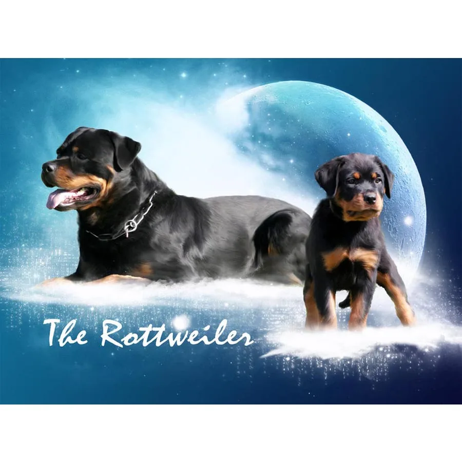 Rottweiler Wallpaper 3d